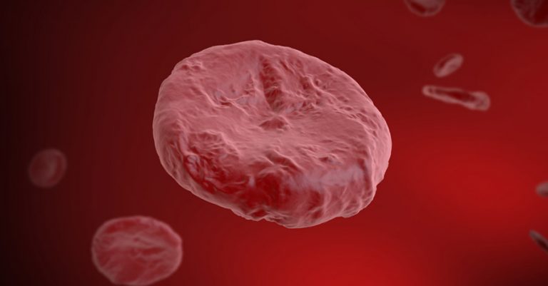 Sangue oculto nas fezes: o que é e para que serve o exame - Laboratório ...